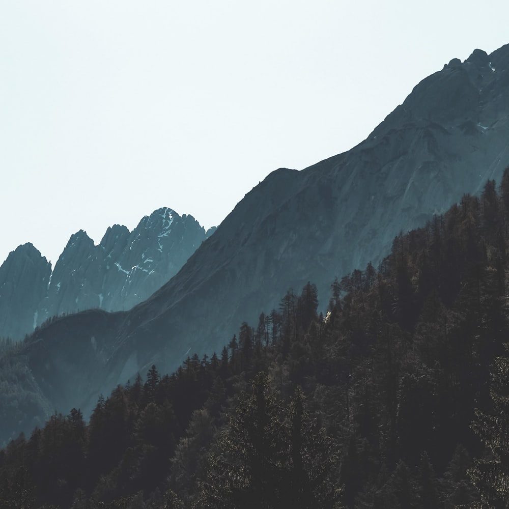 IEQ & EPIQ: Leadership Summit & Unified Vision